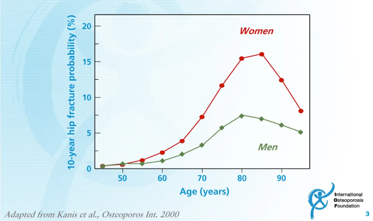 It’s all about estrogen: Menopause, bone loss, and periodontal disease ...
