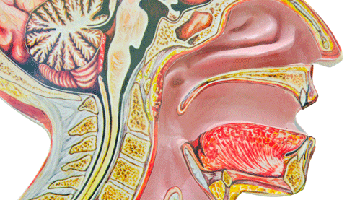 Oral, Head, and Neck Cancer Awareness Week 2016 | Dentistry IQ