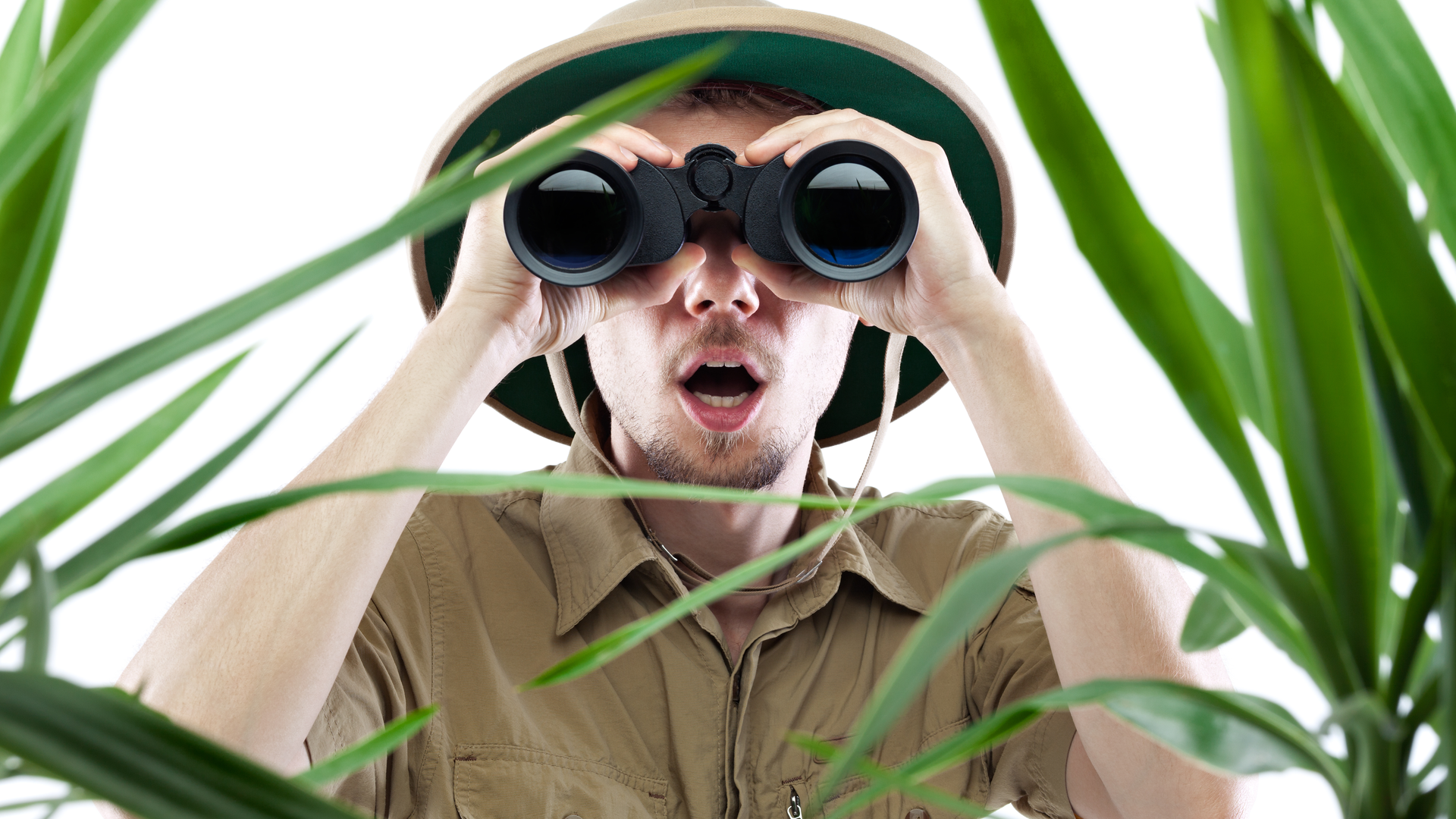 Practice marketing: Hunter or gatherer—which one are you? | Dentistry IQ