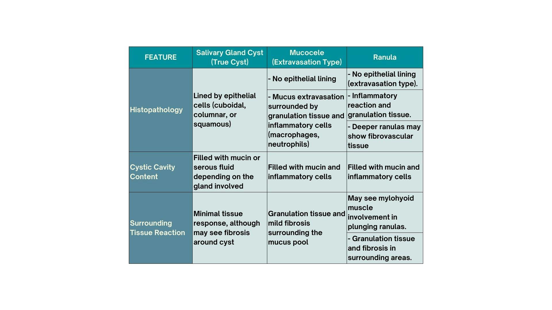 Salivary gland essentials: What you need to know about salivary cysts ...